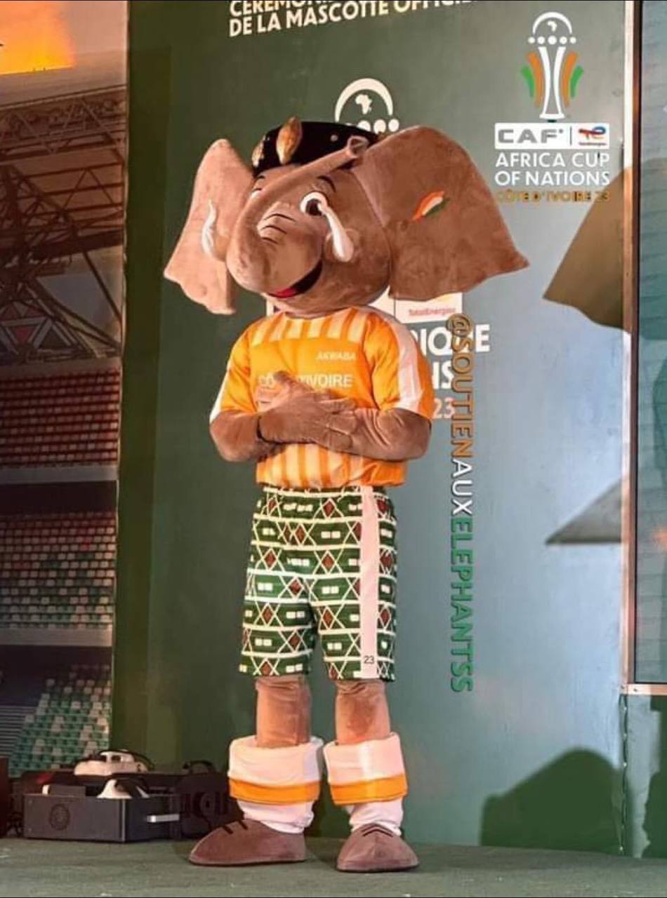 2023 AFCON: Ivory Coast Reveals Official Mascot - Mimi Mefo Info