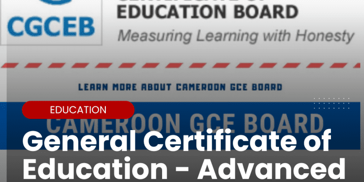 General Certificate of Education - Advanced Level Results 2024 - MMI ...