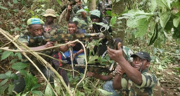 Ambazonia Fighters Reportedly Suspend Lockdown to Allow Voting in ...